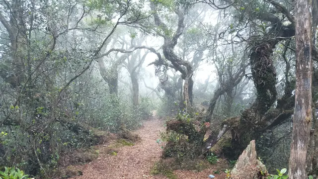 6 Fakta Menarik Gunung Benum yang Masuk Jajaran 10 Besar Puncak ...
