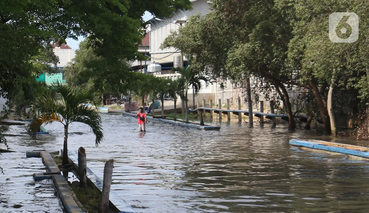 FOTO: Banjir Rob Genangi Pelabuhan Muara Baru - Foto Liputan6.com