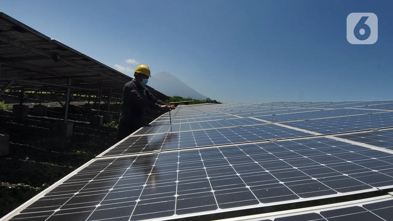 Pabrik Solar Panel Terbesar di Indonesia Beroperasi - Bisnis Liputan6.com
