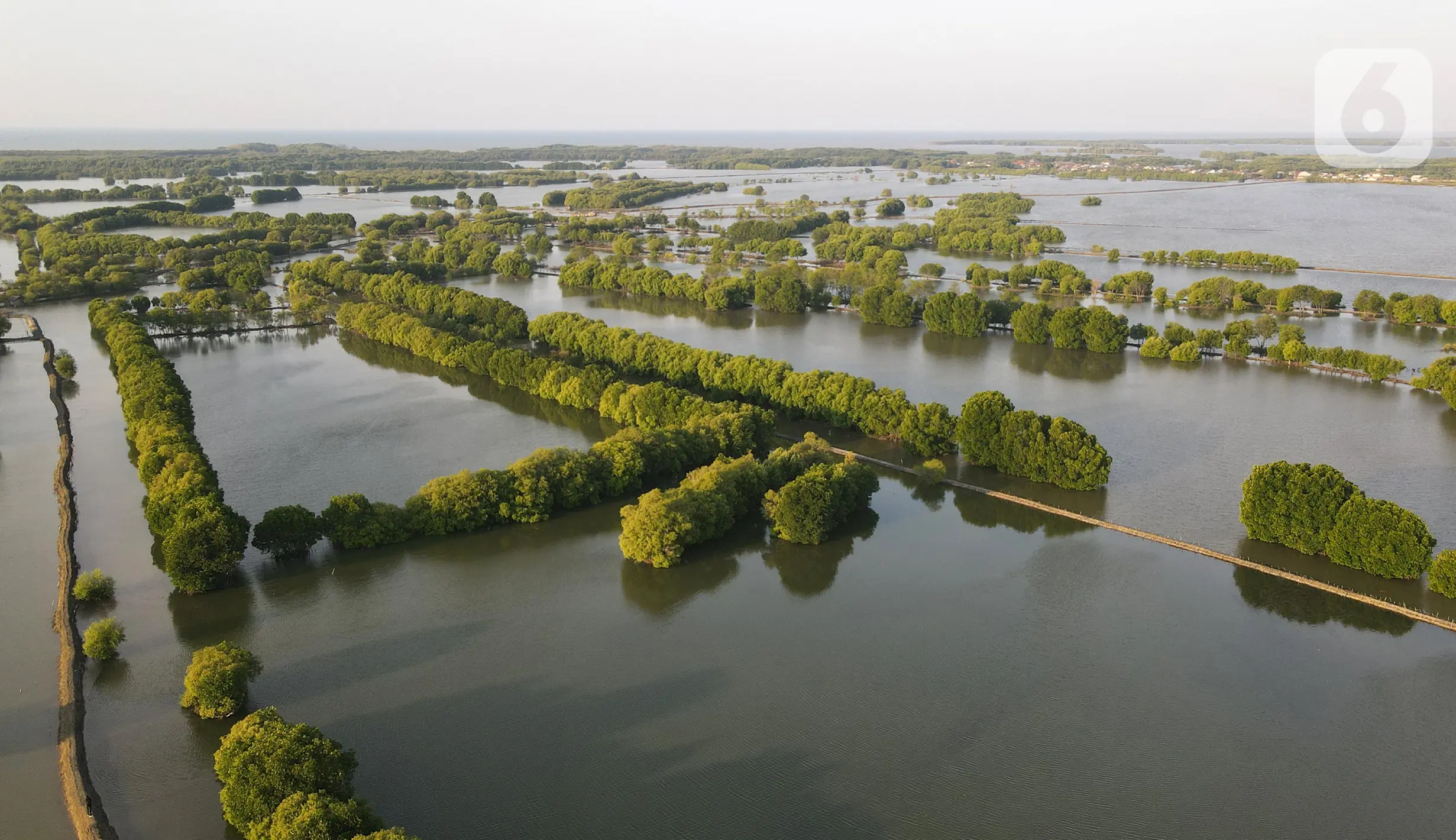 FOTO: Kenaikan Air Laut Pantai Bahagia Muara Gembong - Foto Liputan6.com