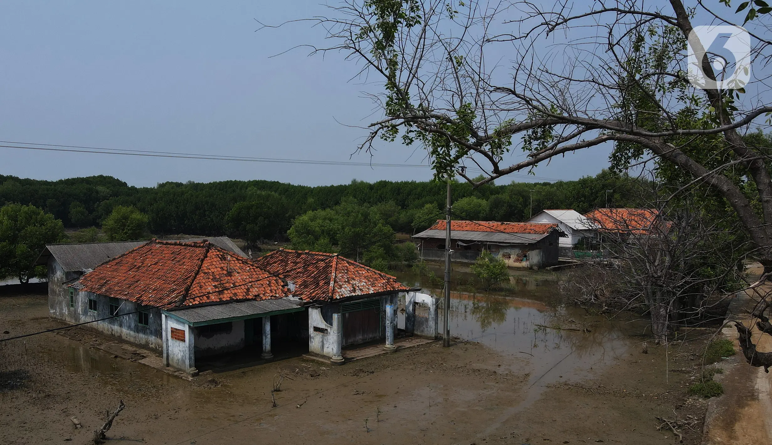Penampakan dari Udara Kampung Muara Beting yang Terancam Hilang - Foto ...