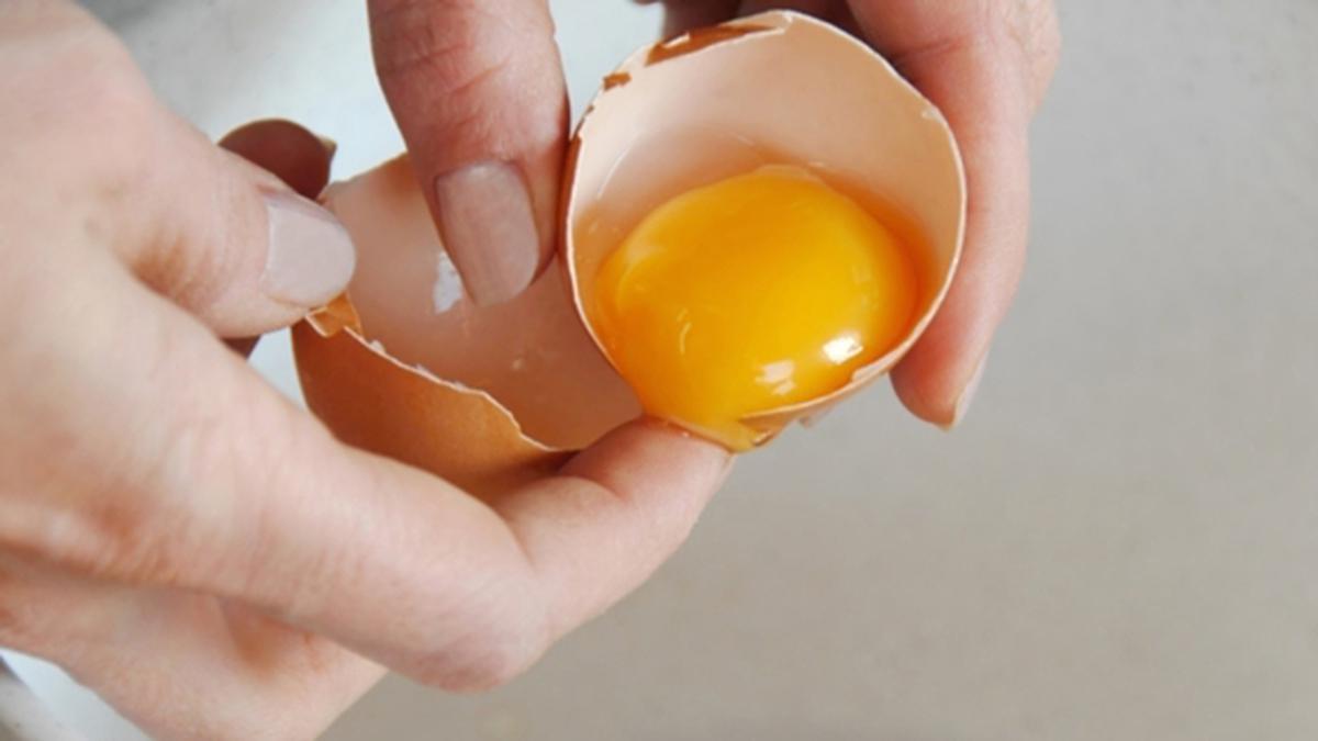 Ini Dia Fakta Dibalik Perbedaan Warna Kuning Telur Ayam