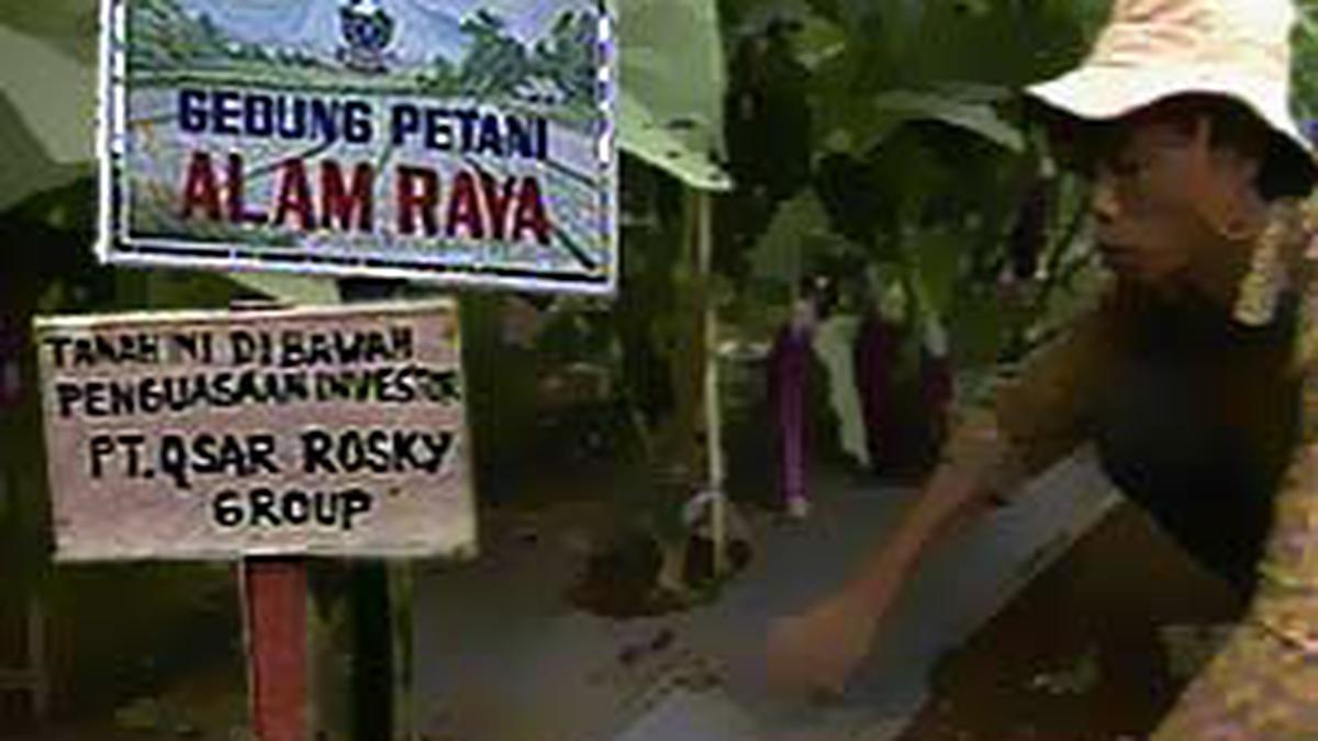 Tersasar di Alam Raya - News Liputan6.com