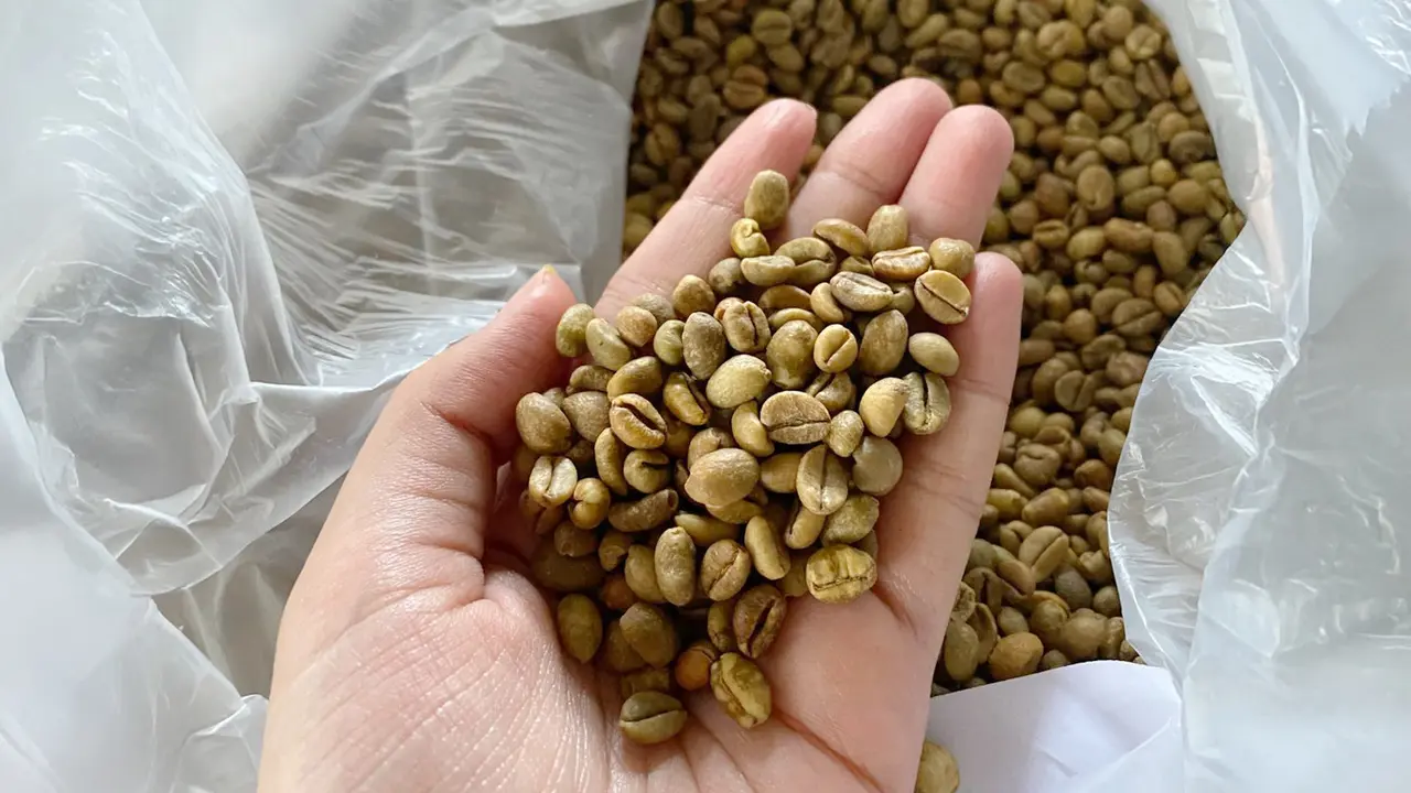 Mengenal Excelsa, Varietas Kopi Indonesia yang Kerap Disangka Robusta ...
