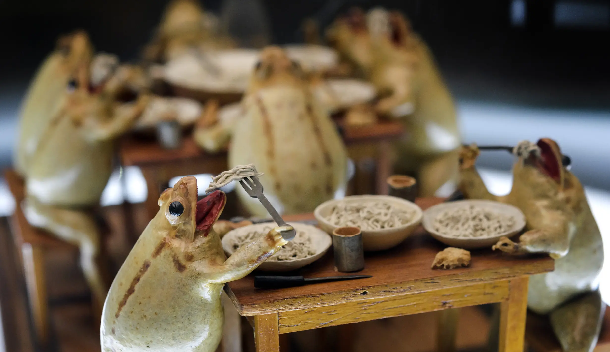 Unik, Museum ini Menggambarkan bila Katak Jadi Manusia - Foto Liputan6.com