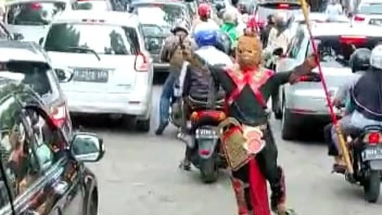 Atraksi Turis Beri Makan Sun Go Kong Hidup di Gunung Jadi Viral ...