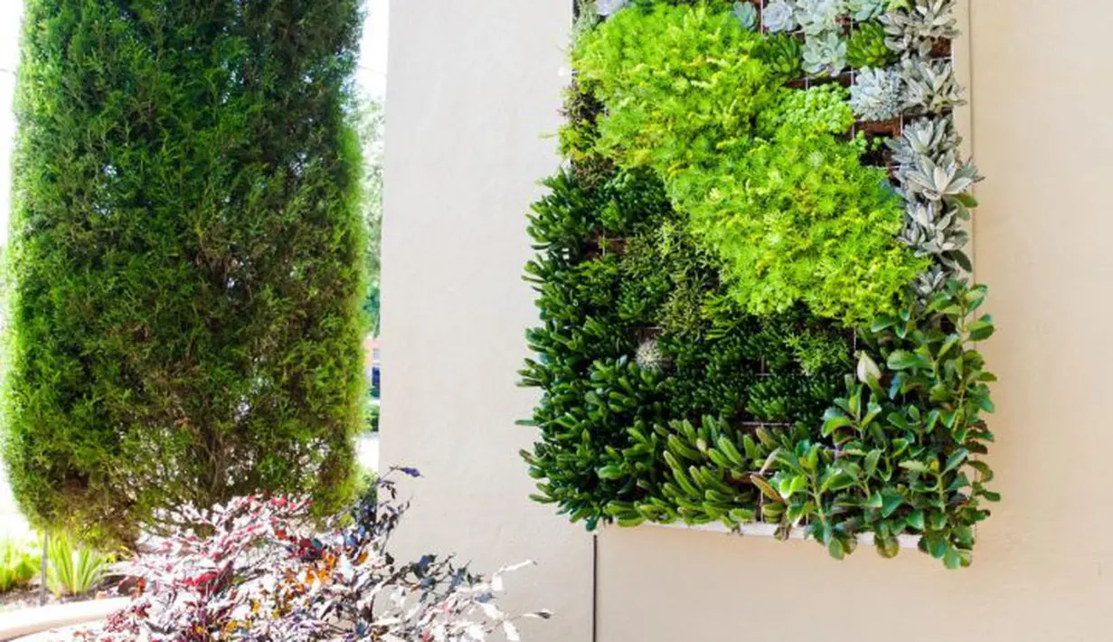 8 Ide Unik Buat Miniatur Taman Indoor Yang Tak Makan Tempat - Photo ...