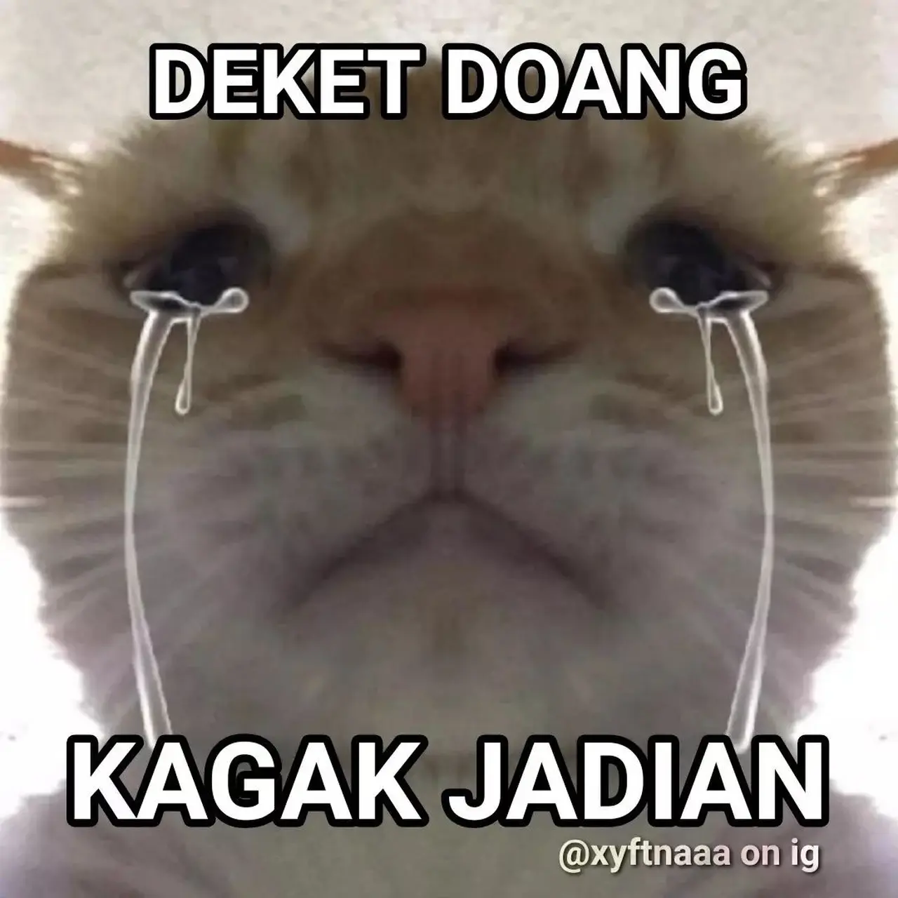 6 Meme Kecewa karena Cinta Ini Bikin Senyum Tipis, Galau Maksimal - Hot ...