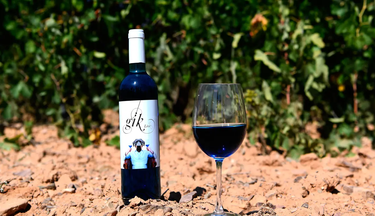 FOTO: Blue Wine, Anggur Berwarna Biru yang Gunakan Bahan Alami - Foto ...