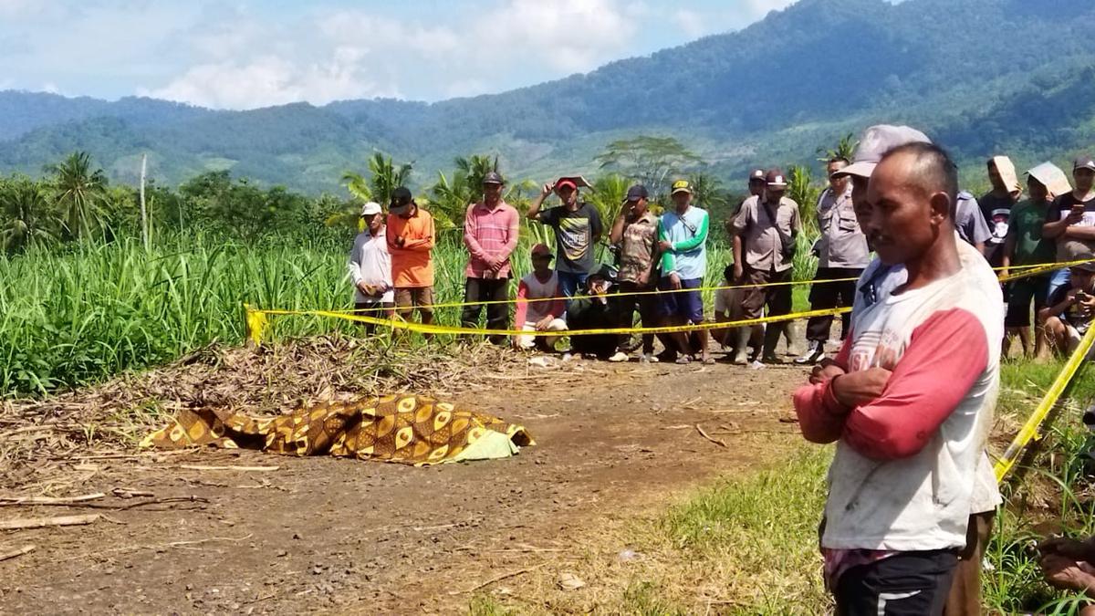 Pelaku Pembacokan Dua Pekerja Kebun di Banyuwangi Diduga Tetangga