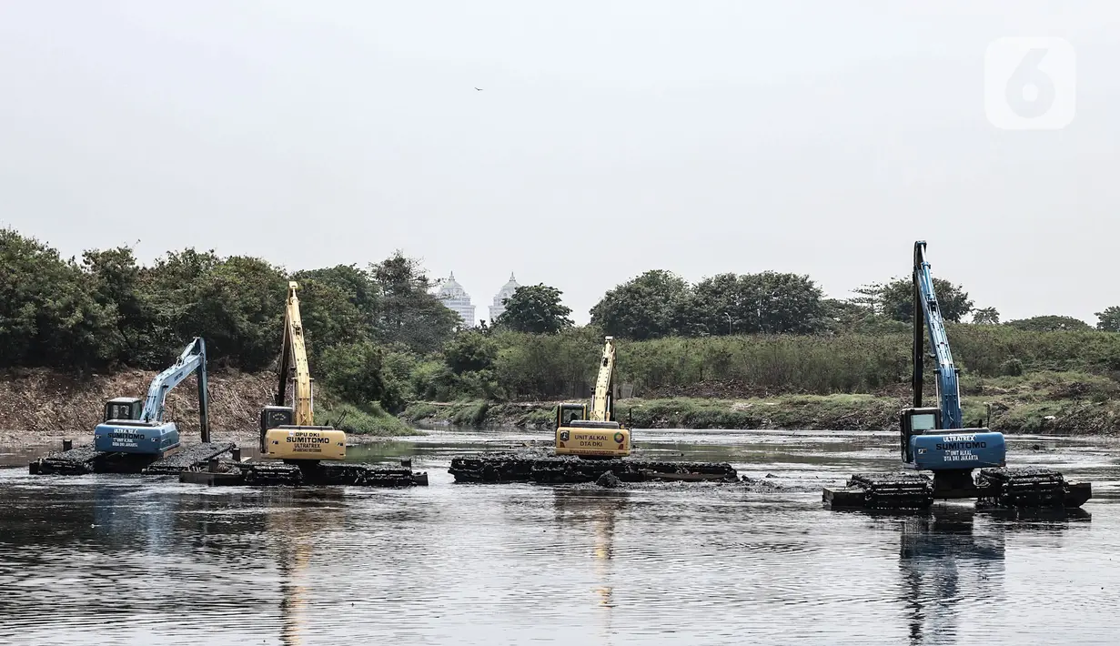 FOTO: Gerebek Lumpur Waduk Ria Rio - Foto Liputan6.com