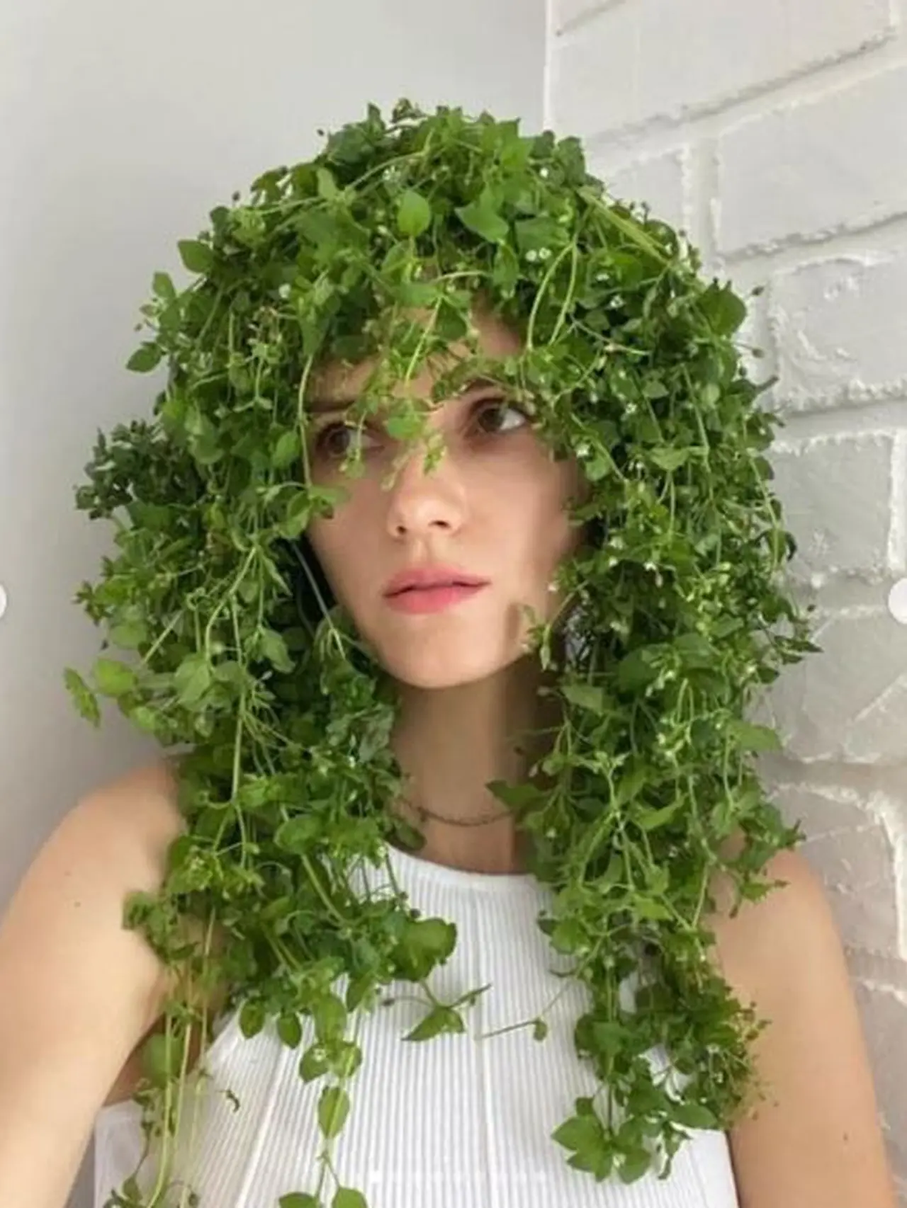 6 Outfit Absurd dari Sayuran Hijau Ini Nyeleneh Banget, Kocak - Hot Liputan6.com