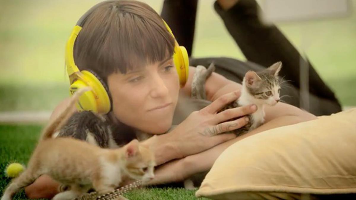 Terapi Kucing Bisa Bantu Meredakan Stres Anda Dengan... Menggemaskan ...