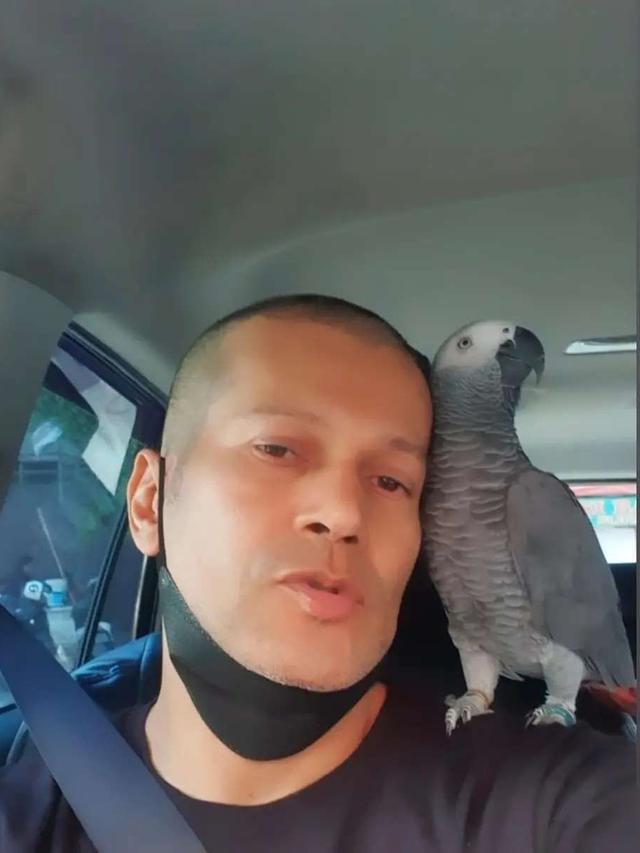 6 Potret Adam Jordan Tampil dengan Gaya Rambut Plontos Ini Makin Awet ...