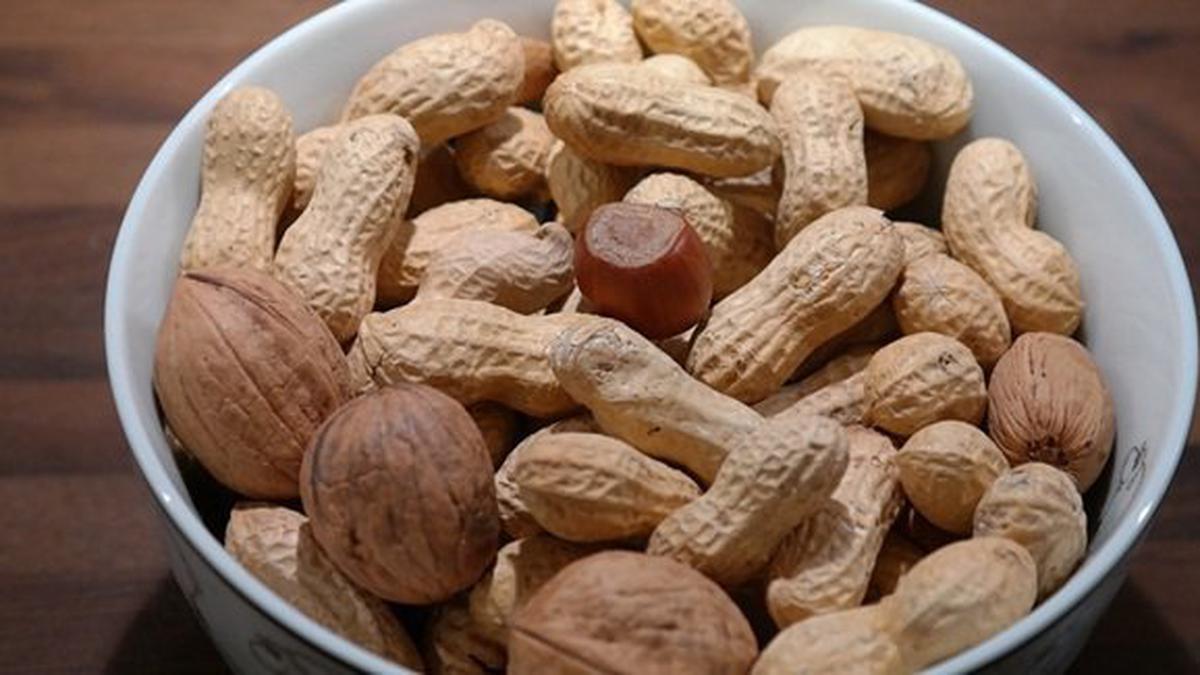 3 Alasan Kacang Harus Jadi Menu Makanan Wajibmu Setiap Hari!