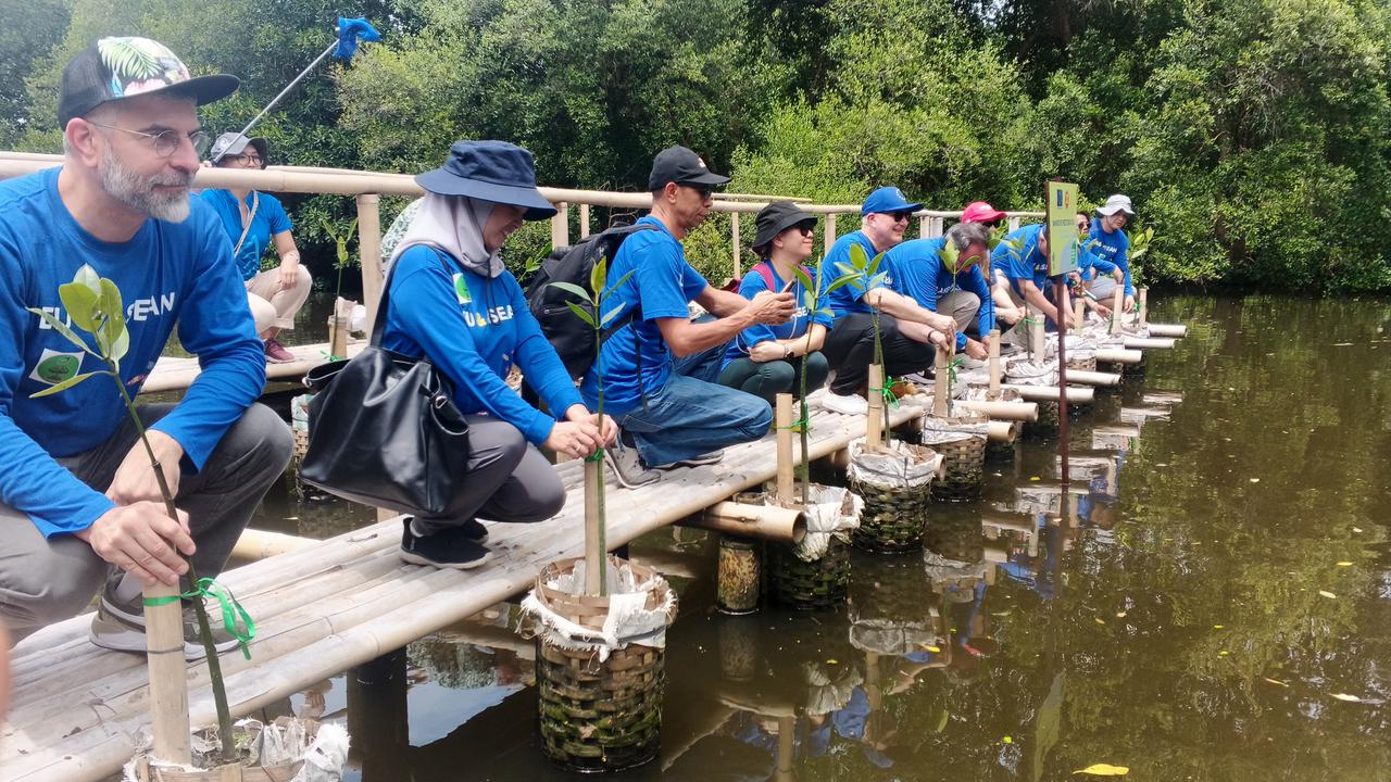 Transformasi TWA Angke Kapuk, dari Lahan Rusak Jadi Hutan Mangrove ...