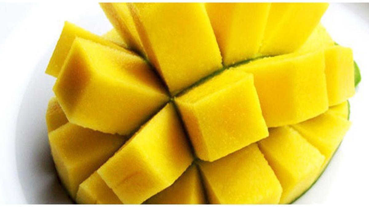 Tropical Mango Pro-shake