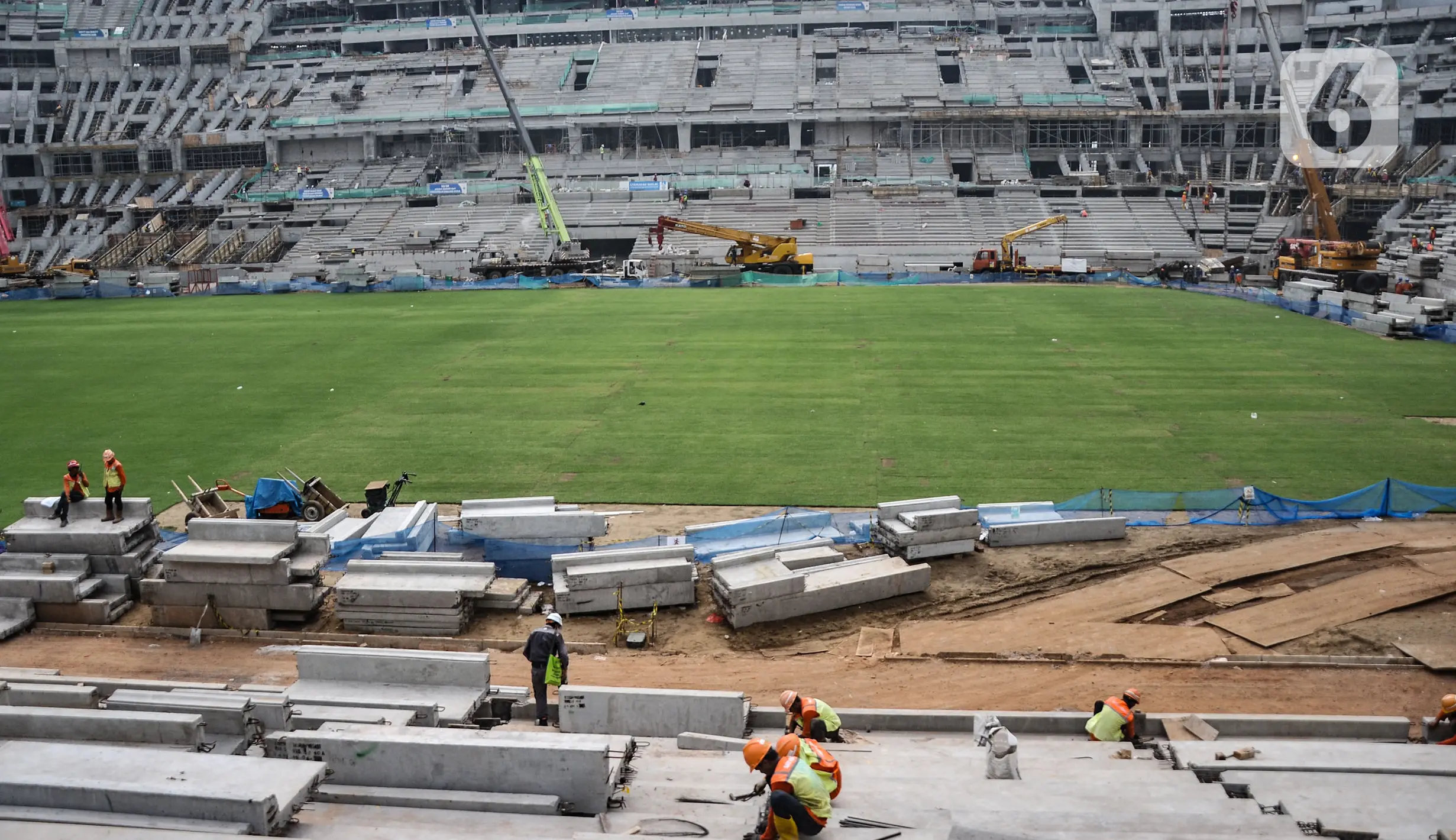 FOTO: Melihat Lebih Dekat Rumput Hybrid di Jakarta International ...