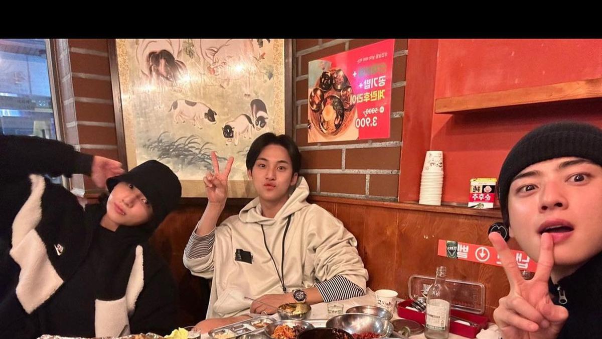 Mingyu Seventeen Bikin Geger 3 Fandom Sekaligus lewat 1 Unggahan ...