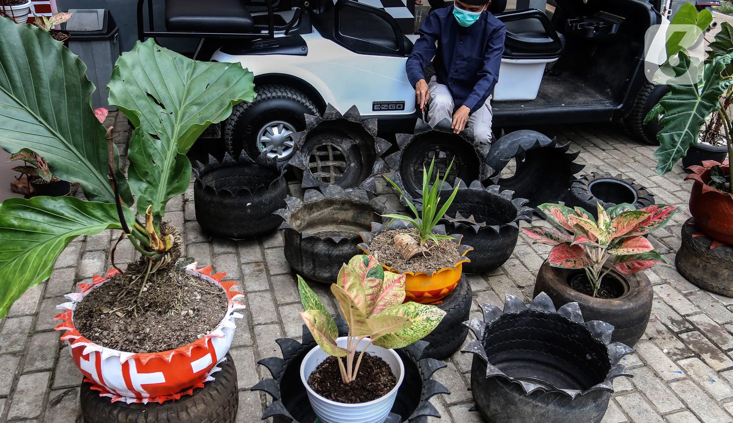 FOTO: Ban Bekas Disulap Jadi Pot Bunga Cantik - Foto Liputan6.com