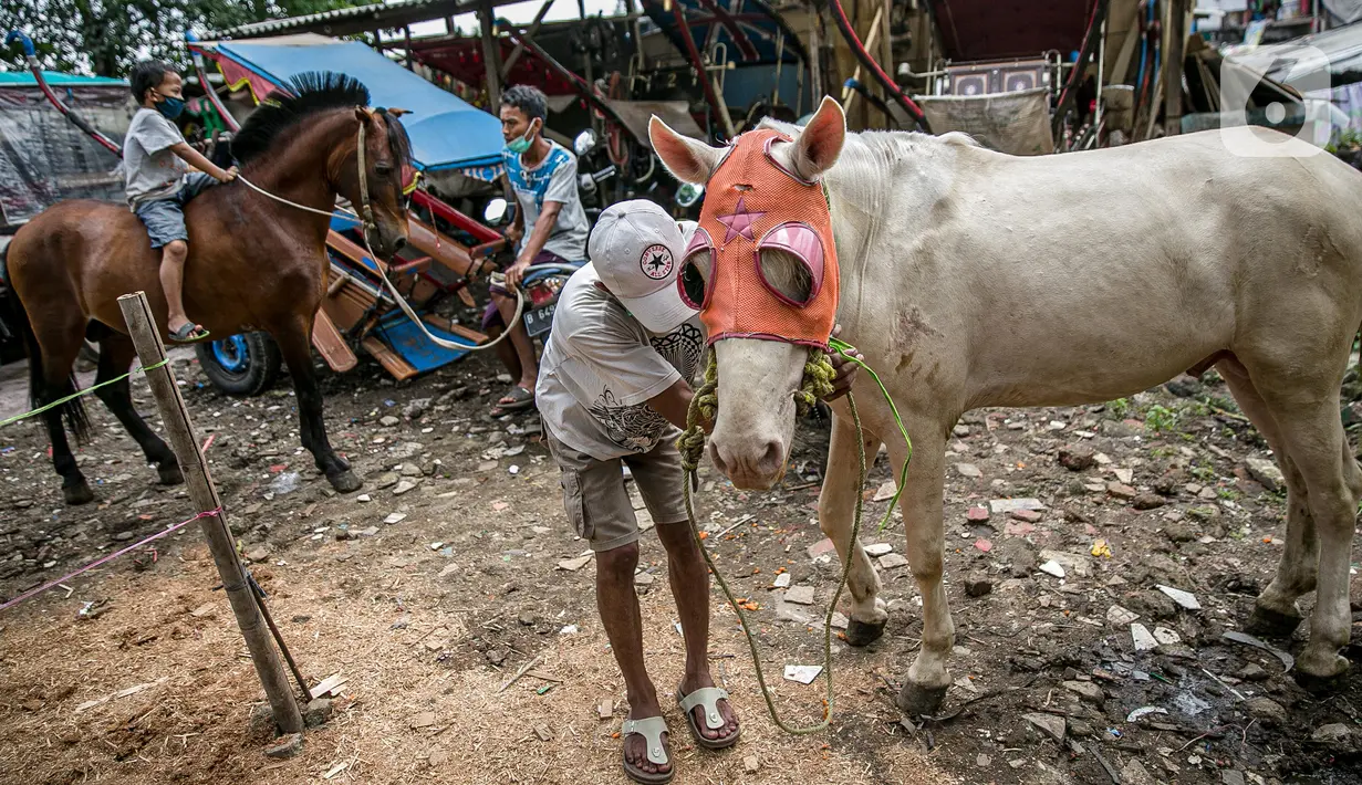 FOTO: Perawatan Kuda Pekerja di Masa Pandemi - Foto Liputan6.com