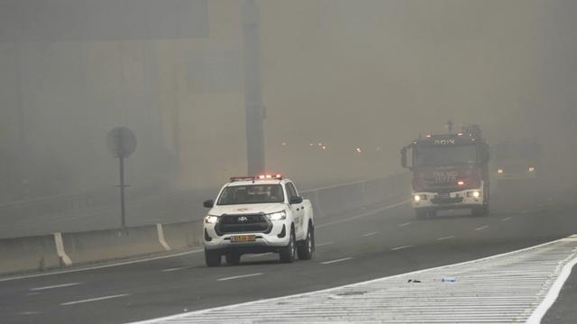 Kebakaran Hutan Israel Padam Setelah 30 Jam Status Darurat, Penyebab ...