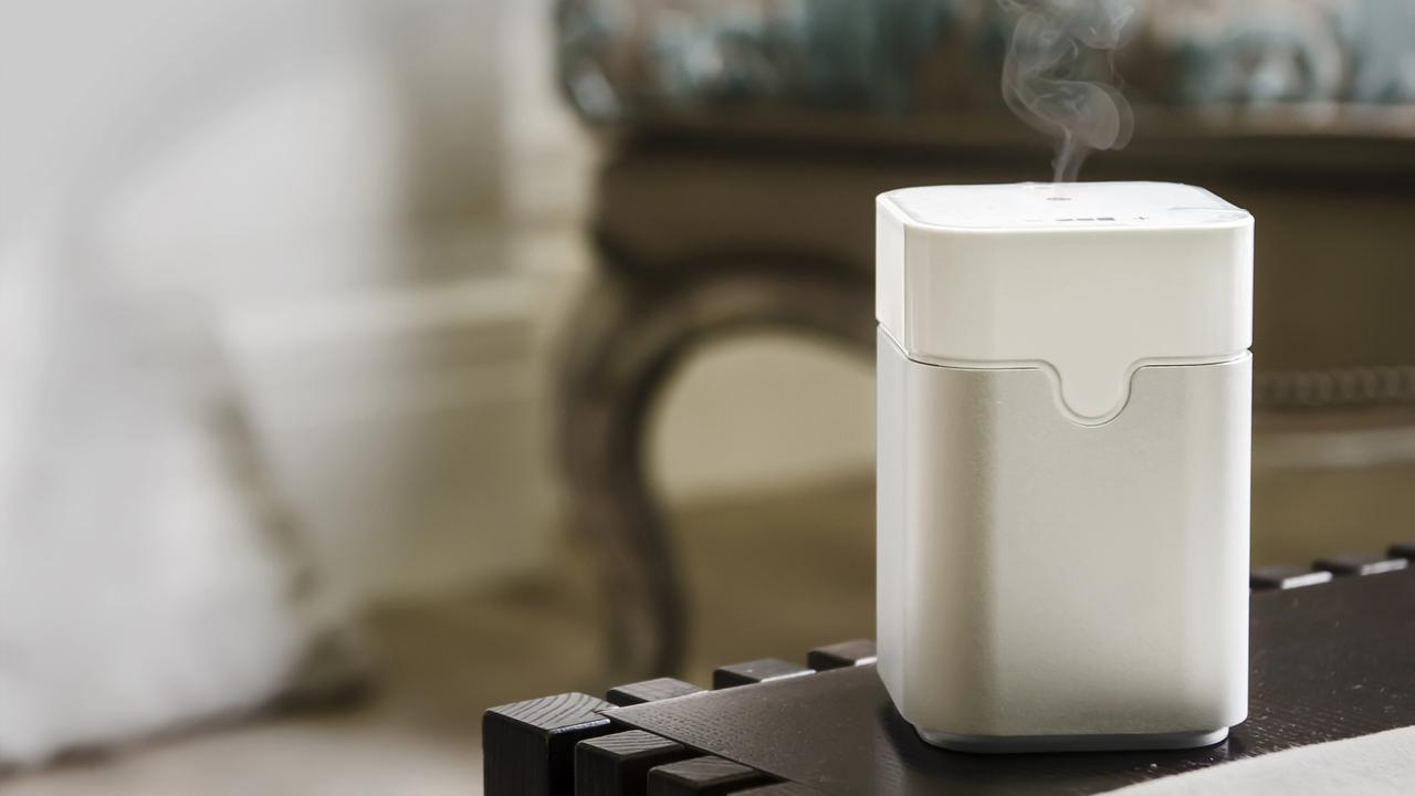 Bukan Sekadar Estetik, Humidifier Jadi Kunci Udara Sehat dan Mood Lebih ...