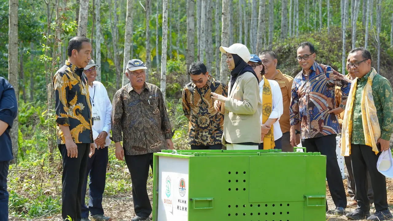 IKN Siapkan 621 Hektare Hutan Pendidikan dan Penelitian - Bisnis Liputan6.com