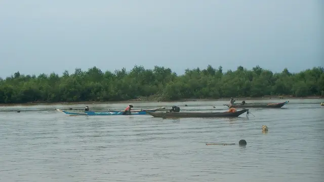 Delta Adalah Endapan di Muara Sungai, Kenali Jenis dan Proses ...