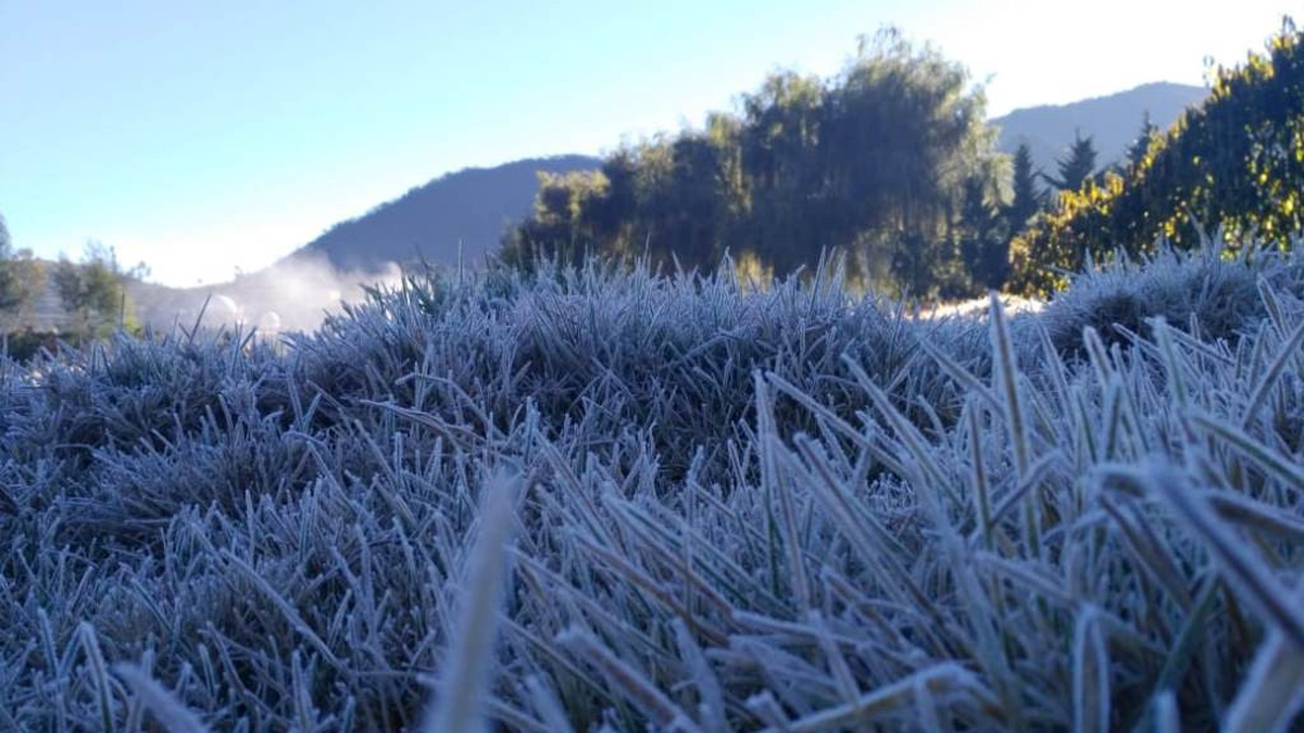 Tips Aman Saksikan Embun Es Dieng di Pagi Hari - Regional Liputan6.com