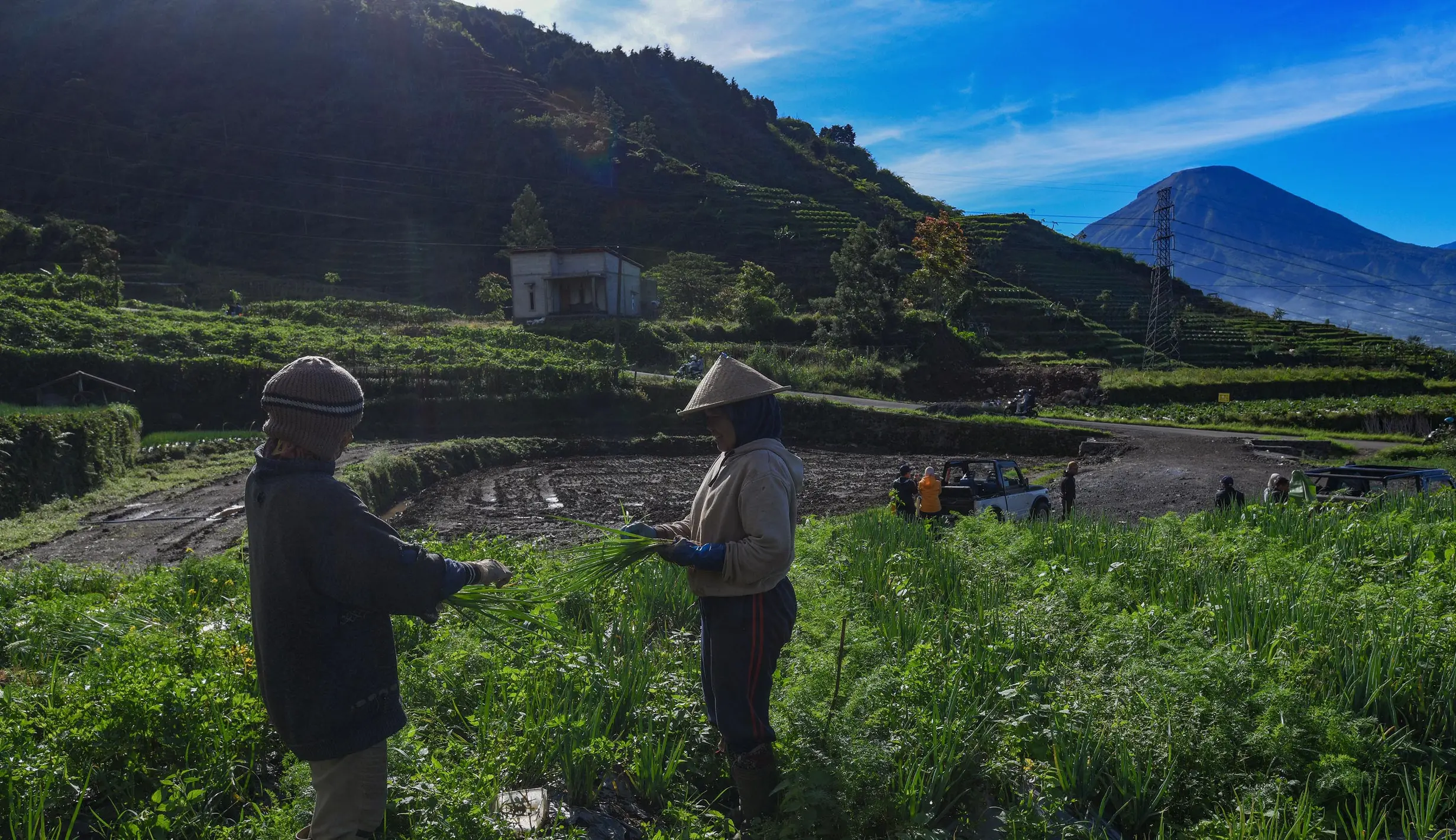 Menikmati Keindahan Swiss Van Java di Jalur Alternatif Wonosobo-Dieng ...
