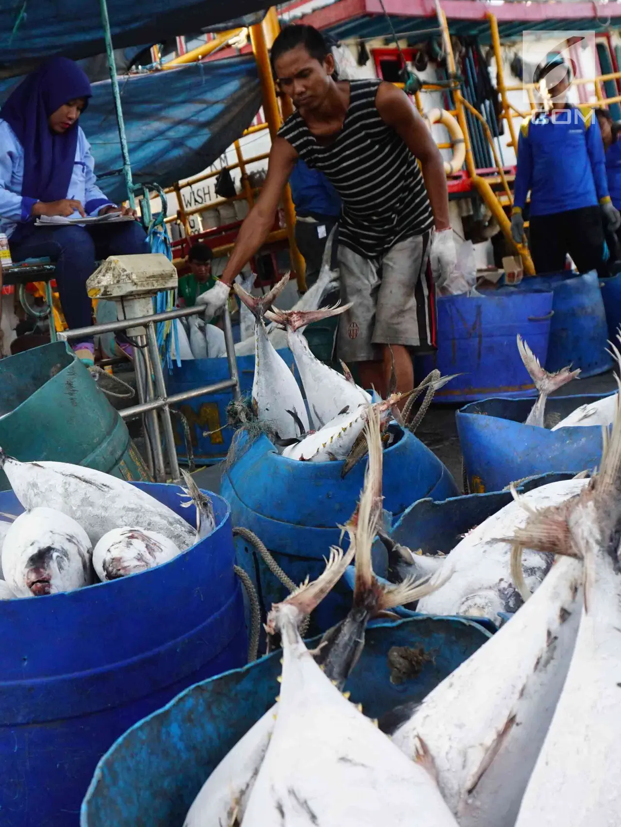 Pembangunan Cold Storage Ikan Kapasitas 1.000 Ton Rampung Akhir 2018 ...