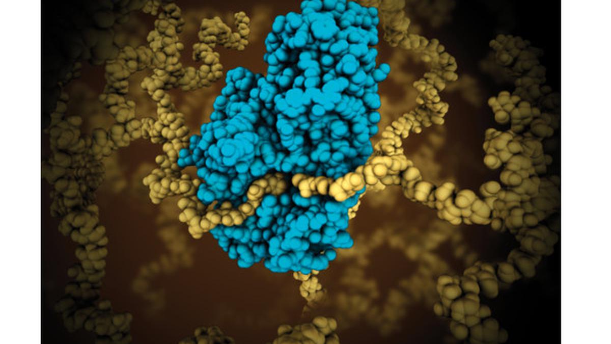 Cara Kerja Enzim, Sifat Kimia, Penghambat, dan Macam-Macamnya - Page 4 ...