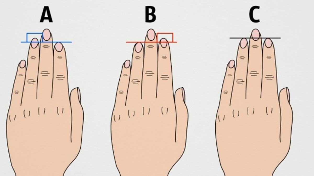3 Tipe Kepribadian Seseorang yang Tercermin dari Panjang Jari
