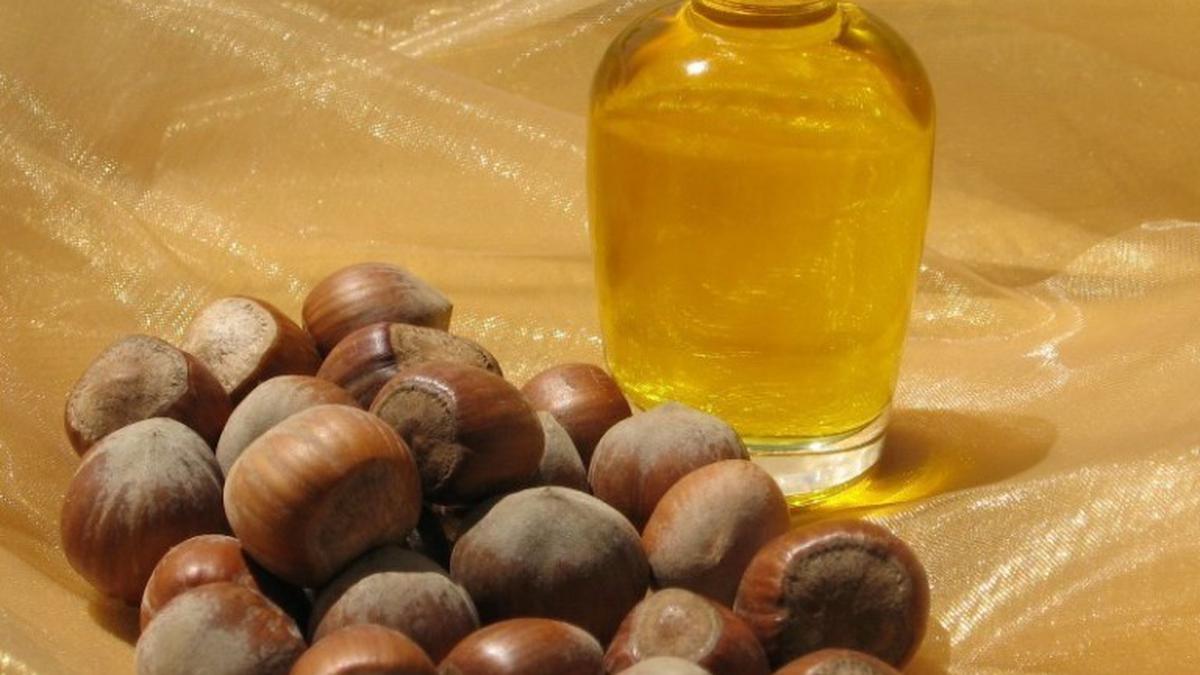 12 Manfaat Kemiri untuk Rambut dan Kulit Bayi, Jaga Kesehatannya - Hot ...