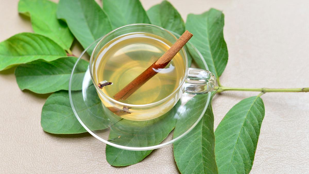 6 Resep Jamu Rebus Daun Bening Turunkan Kolesterol dan Darah Tinggi