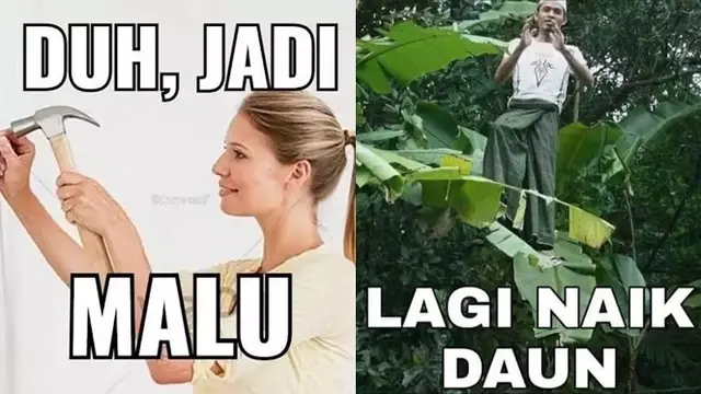 6 Meme Absurd yang Punya Makna Ganda Ini Bikin Mikir Keras, Kocak - Hot ...