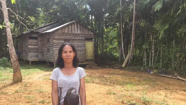 Melihat Lebih Dekat Petani Lada di Perbatasan Malaysia - News Liputan6.com