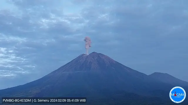 Gunung Semeru Erupsi Lagi Jumat Pagi 9 Februari 2024, Kolom Abu Capai 1.000 Meter - Regional ...