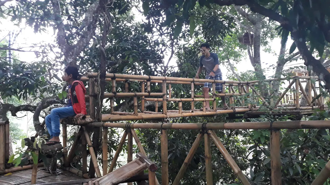 Segarnya Udara Pagi di Rumah Pohon Bukit Lemped - Regional Liputan6.com