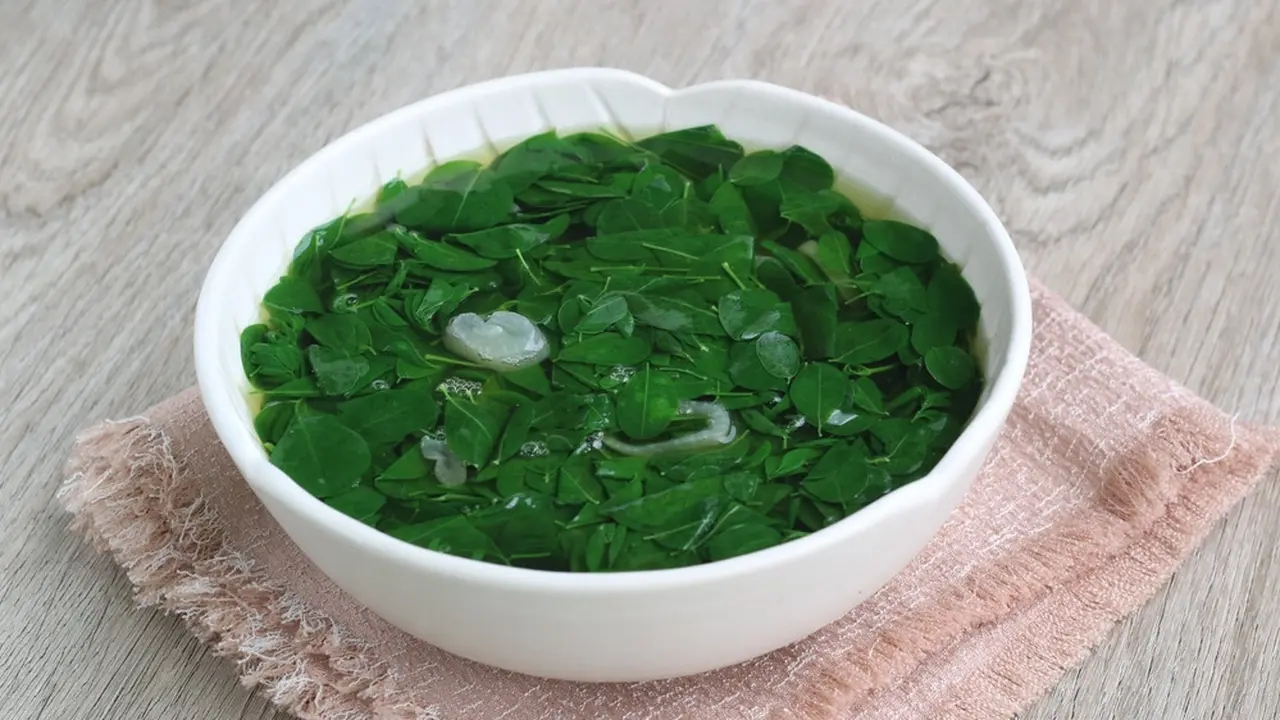 9 Fakta Tentang Daun Kelor yang Jarang Diketahui - Lifestyle Fimela.com