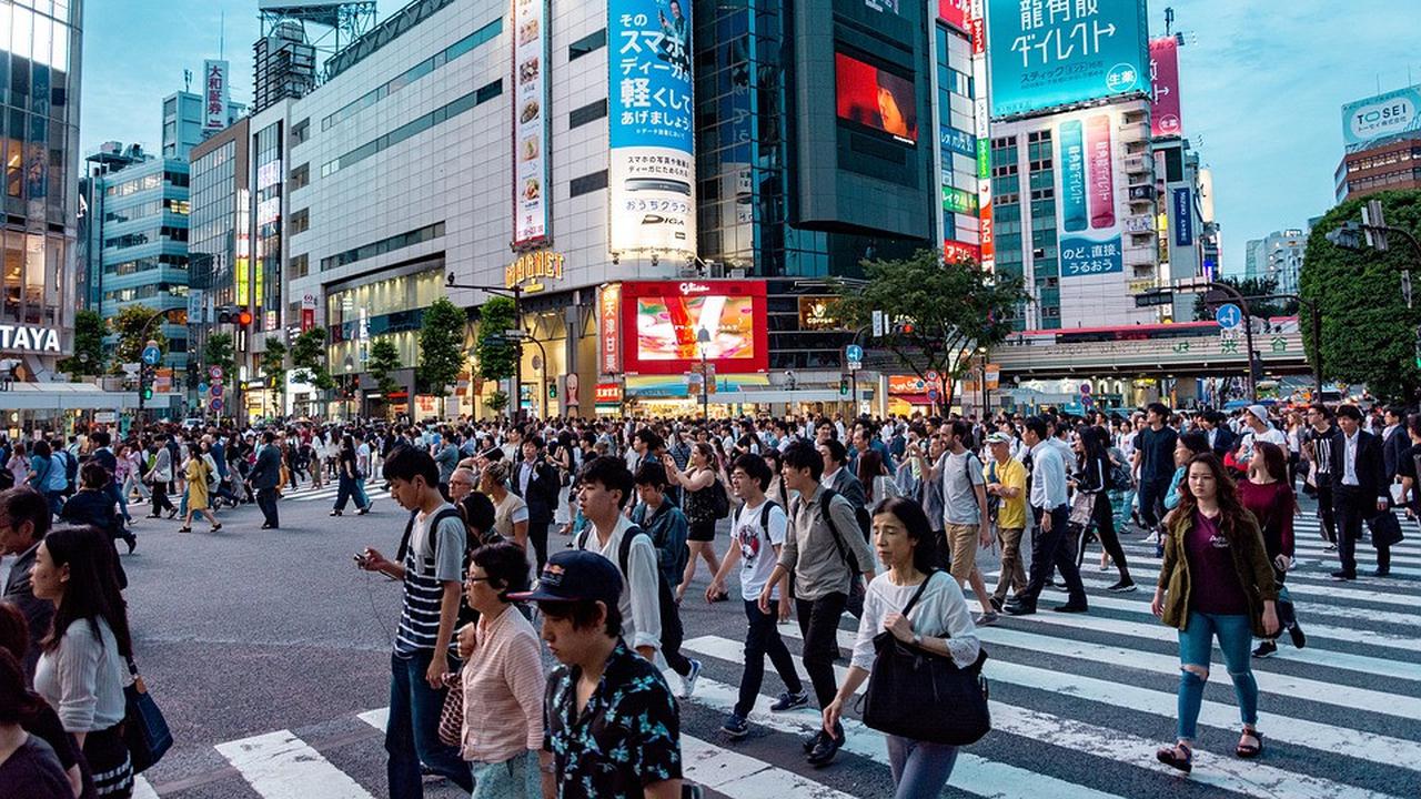 Baka Artinya dalam Bahasa Indonesia, Kenali Kosakata Jepang Sehari-hari