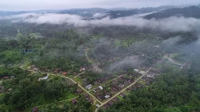 6 Fakta Menarik Kepulauan Mentawai, Pemilik Tato Tertua di Dunia dan ...