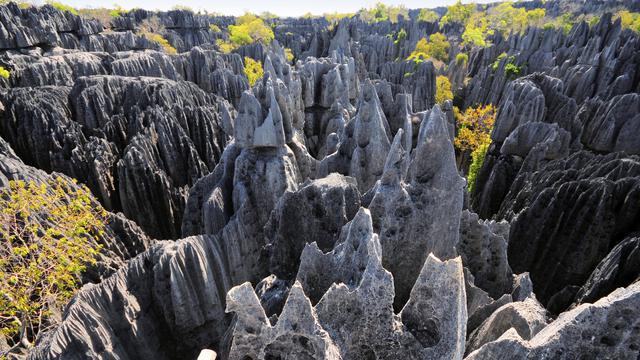 6 Fakta Menarik Madagaskar, Negara Afrika yang Masyarakatnya Memuja Lemur