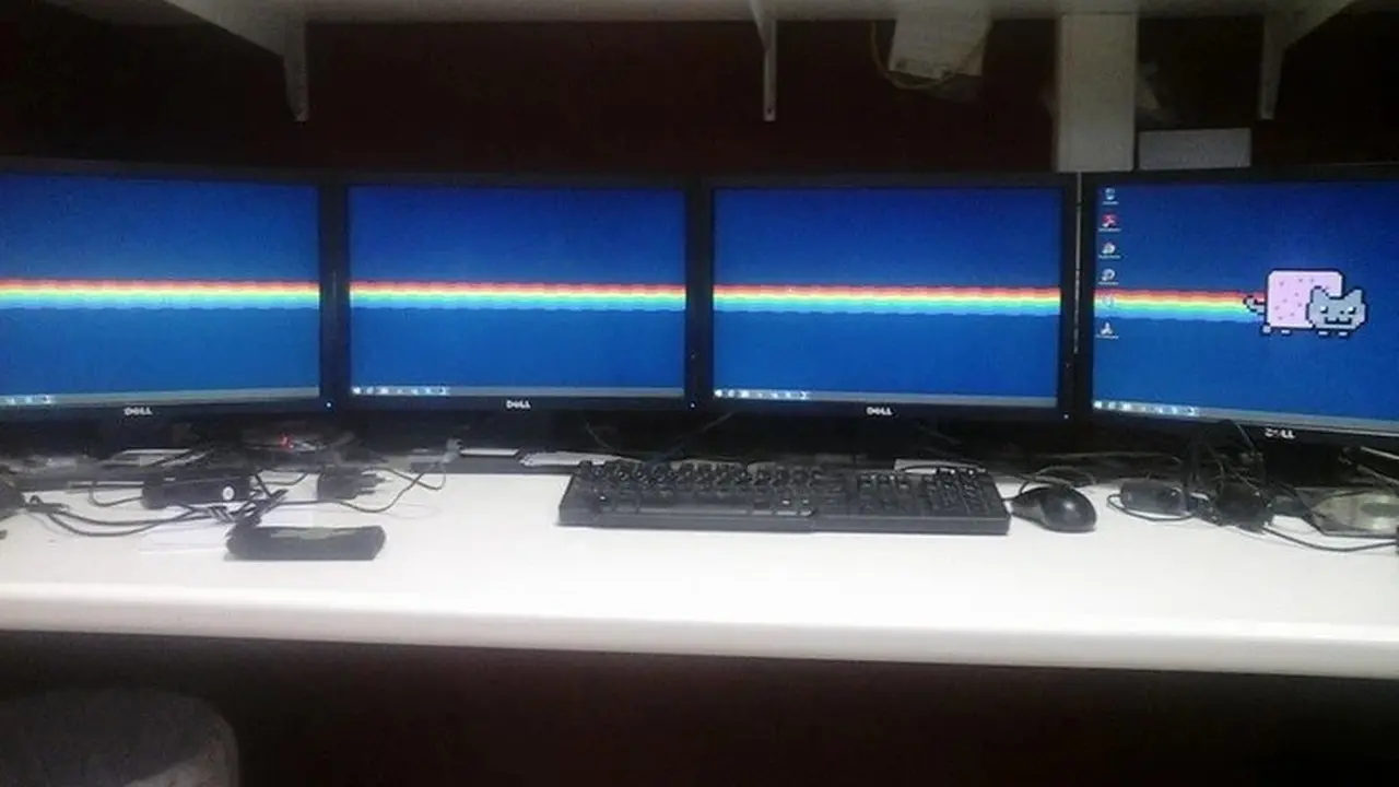 10 Potret Wallpaper Laptop Lucu dan Kreatif, Jadi Referensi Ide Untuk ...