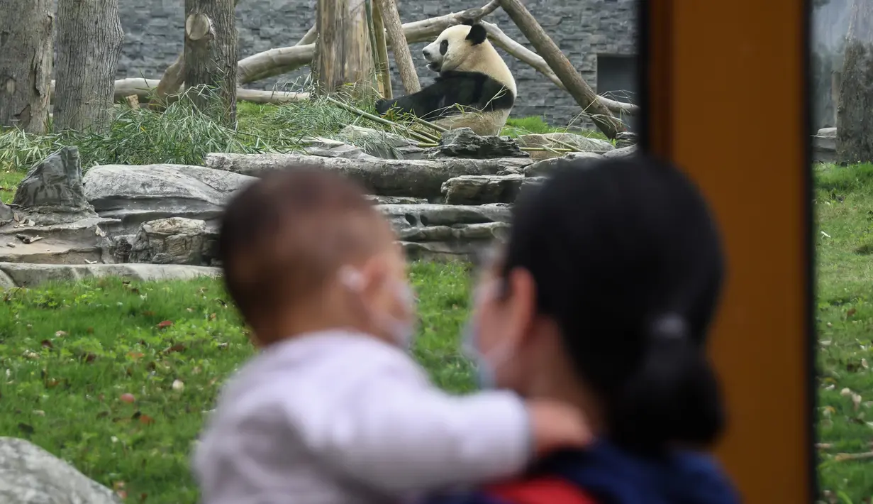 FOTO: Kebun Binatang Wuhan Kembali Dibuka - Foto Liputan6.com