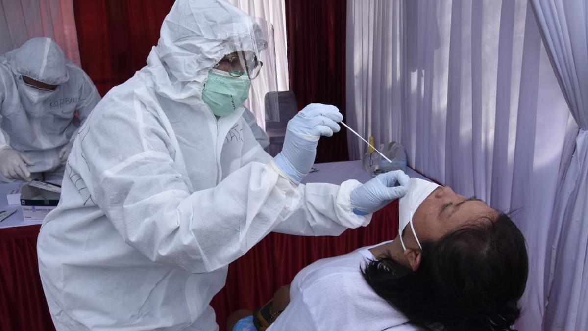 Masa Berlaku Hasil PCR dan Rapid Test Antigen dalam Aturan Perjalanan ...