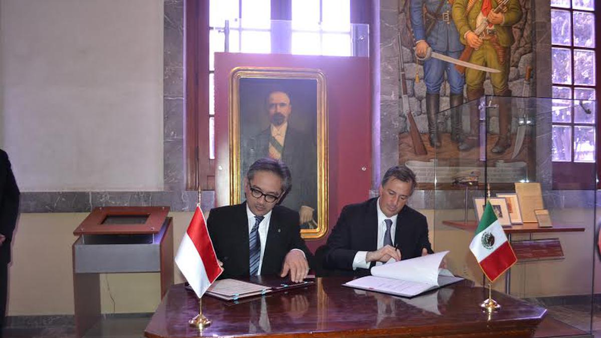Pemegang Paspor Diplomatik dan Dinas RI Bebas Visa ke Meksiko