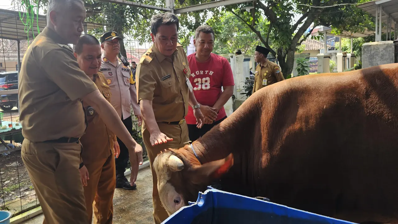 Jelang Idul Adha, Pemda Tangerang Inspeksi Hewan Kurban Layak dan Sehat - News Liputan6.com