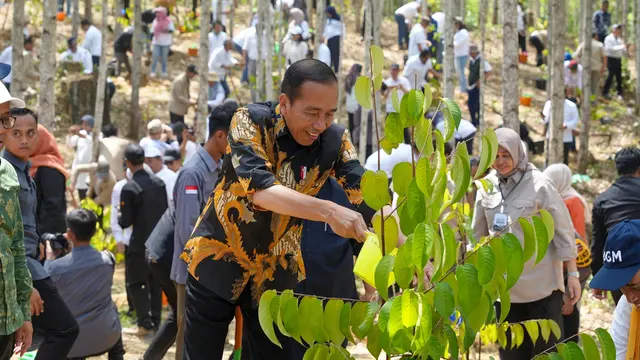 IKN Siapkan 621 Hektare Hutan Pendidikan dan Penelitian - Bisnis Liputan6.com